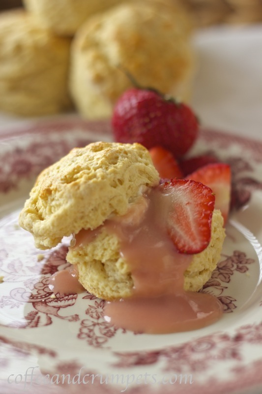 English Scones with Rhubarb Curd | Mother's Day - Coffee and Crumpets